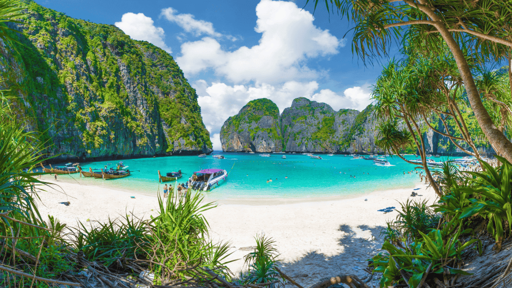 Maya Bay: An In-Depth Guide to Thailand's Enchanting Paradise